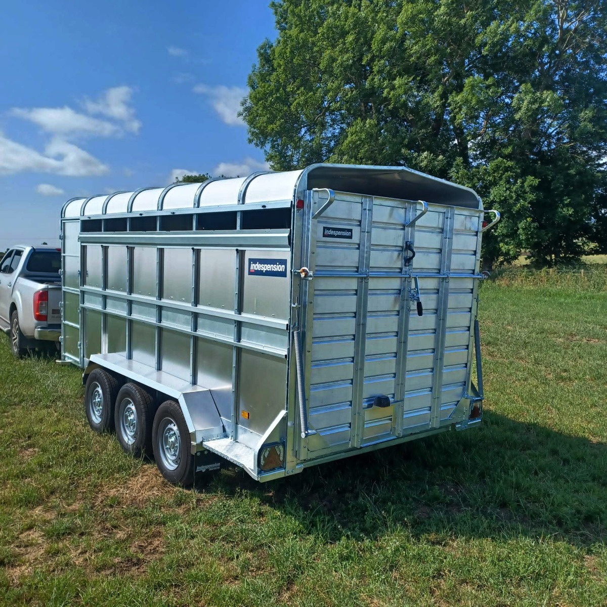 Indespension Triple Axle 14' x 6' x 6'H Livestock Trailer | Indespension